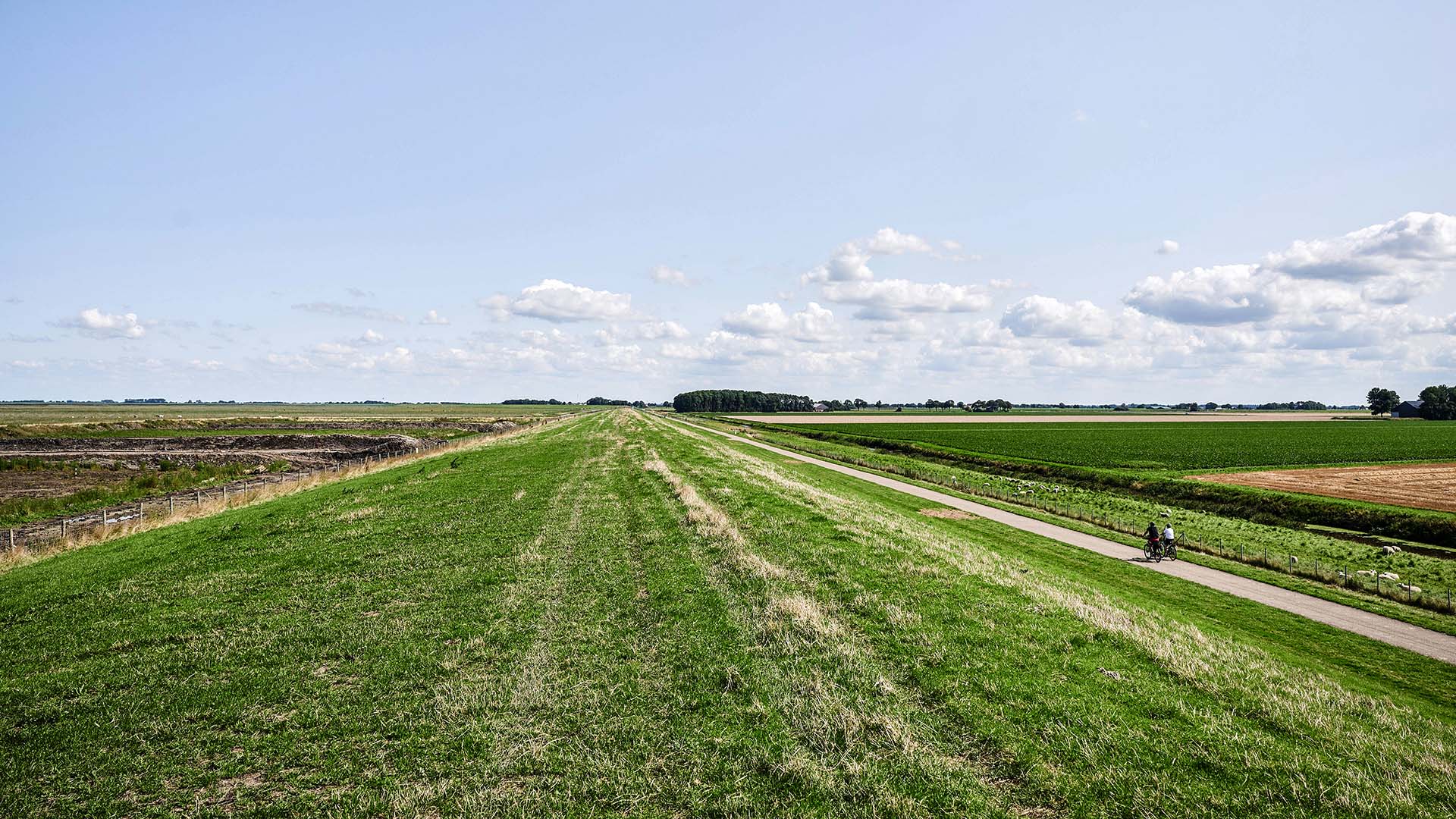 Sweco aan de slag met plan Transitie Landelijk Gebied Groningen