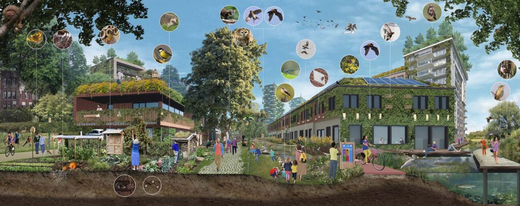 Voorbij 3-30-300: ontdek 1-20-300-groennorm | Sweco Nederland