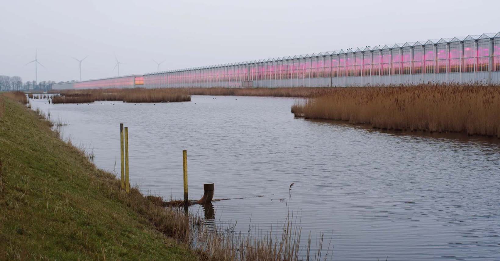 Wijs met water | Waterkwaliteit - Waterbank Agriport - SwecoNL